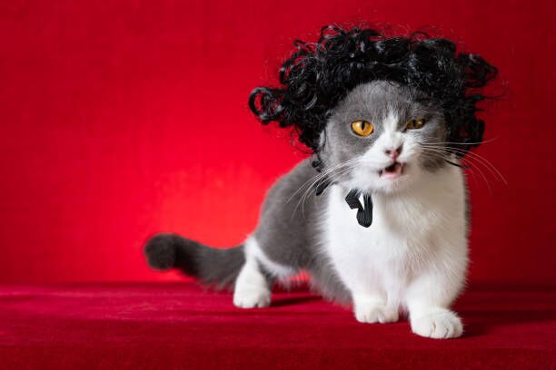 1.Comfort is the main concern